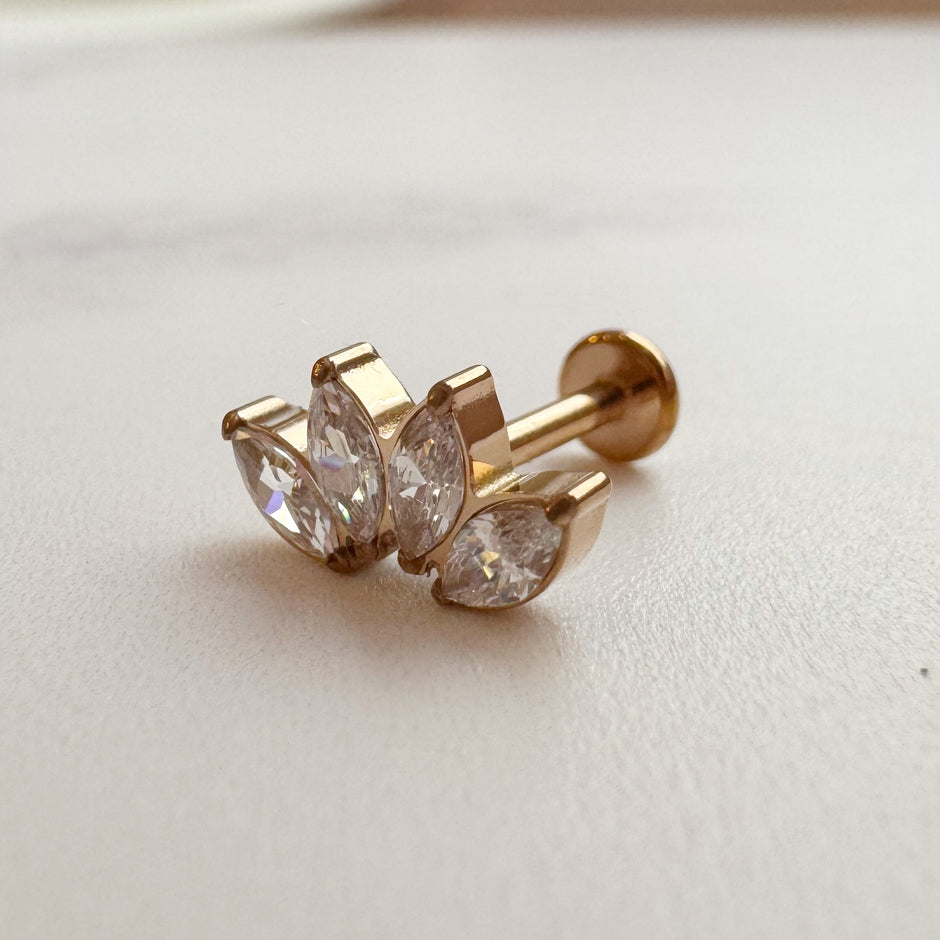 Rook Piercing Studio